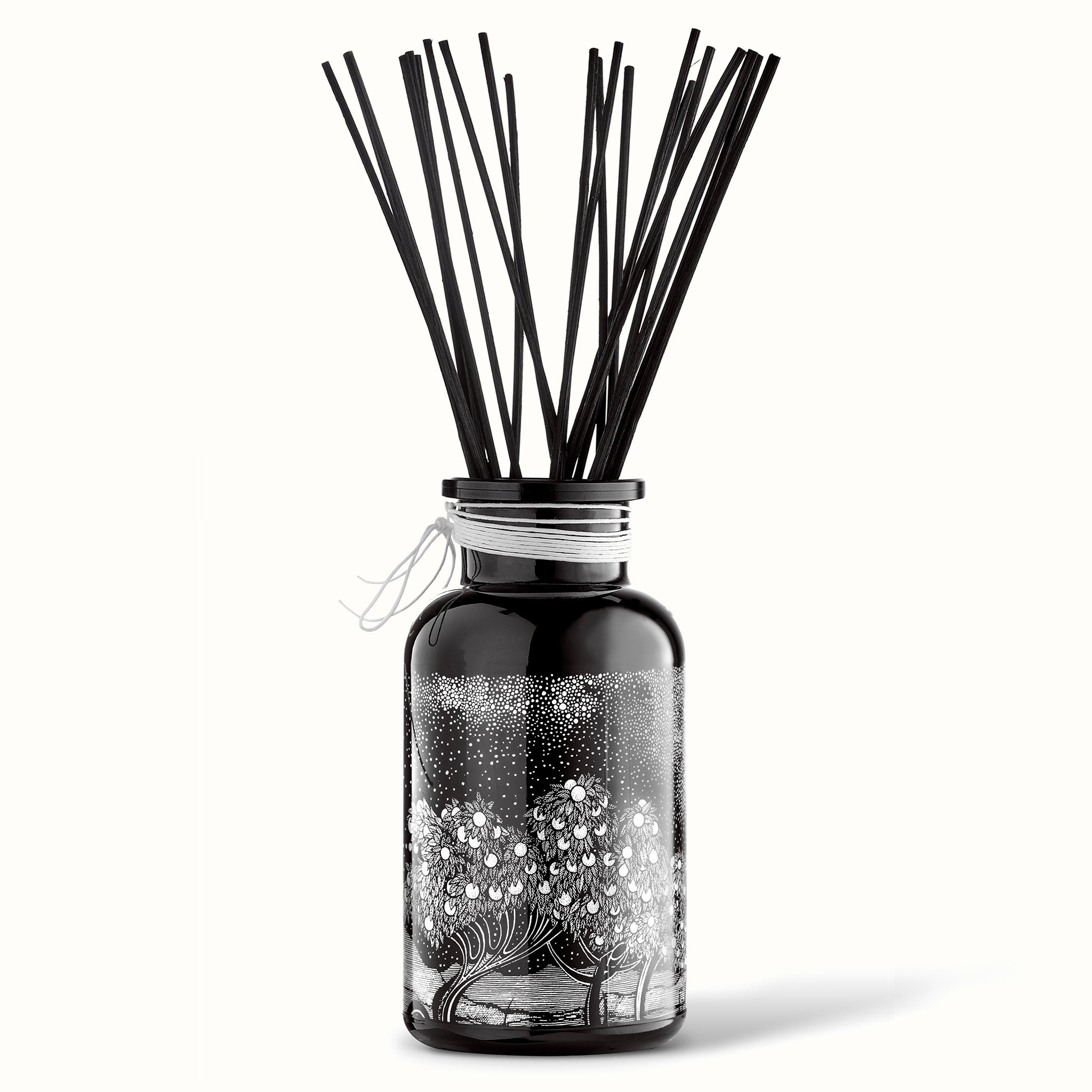 Orange Orchard Diffuser – Wild Olive Artisans